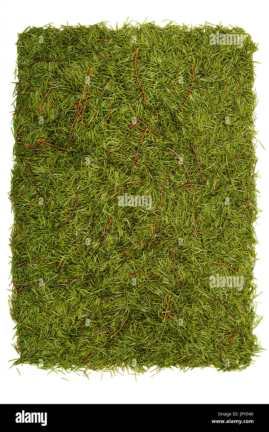 isolated Christmas background of green fur-tree needles Stock Photo - Alamy