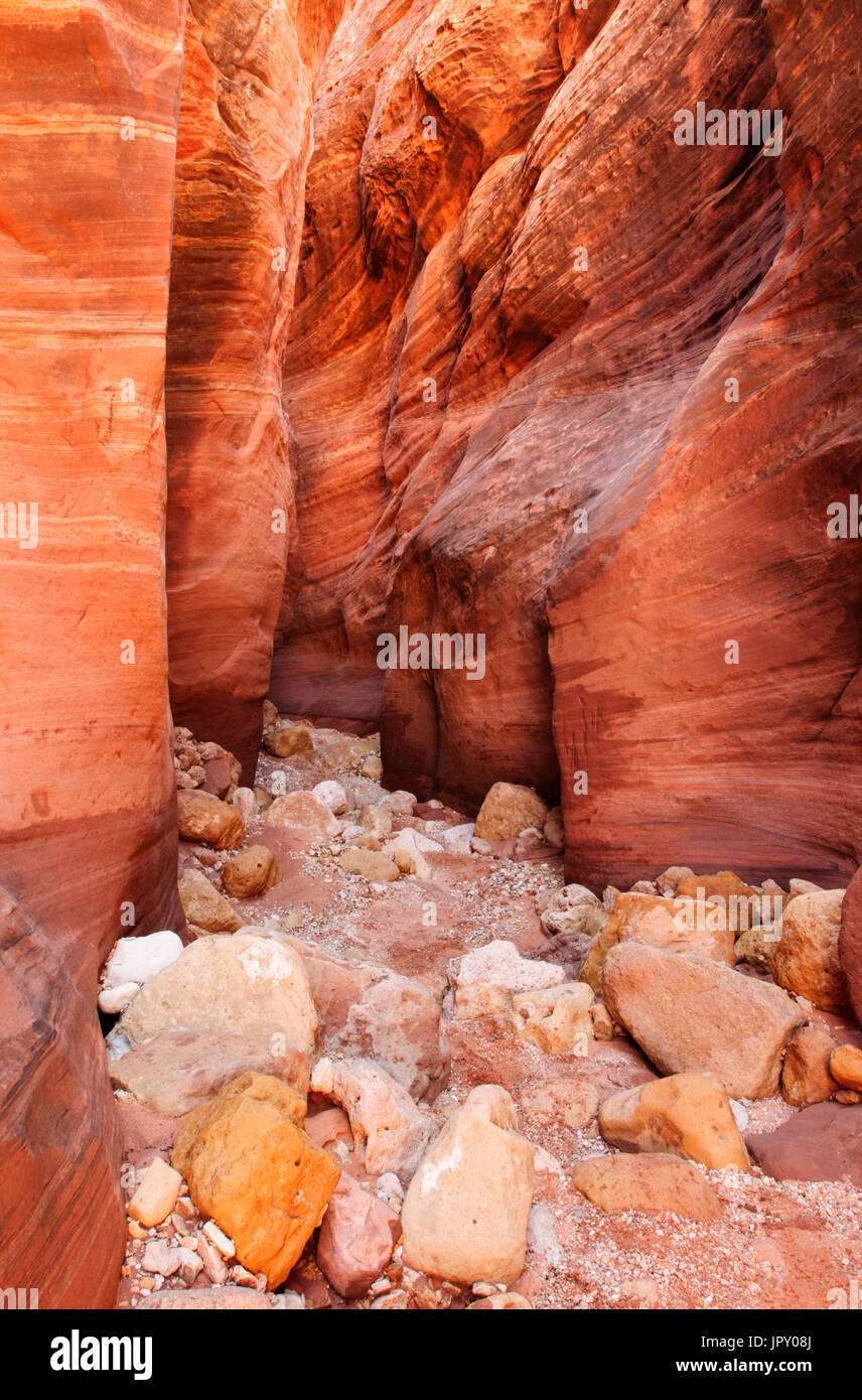 Wire Pass Slot Canyon; Paria Canyon-Vermilion Cliffs Wilderness Area ...