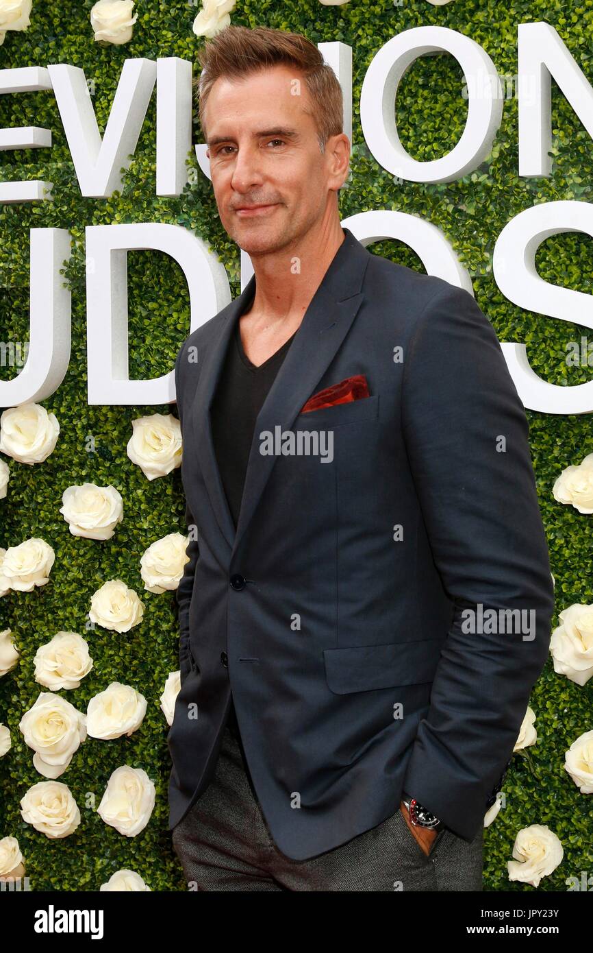 Los Angeles, CA, USA. 1st Aug, 2017. Brian Unger at arrivals for TCA ...