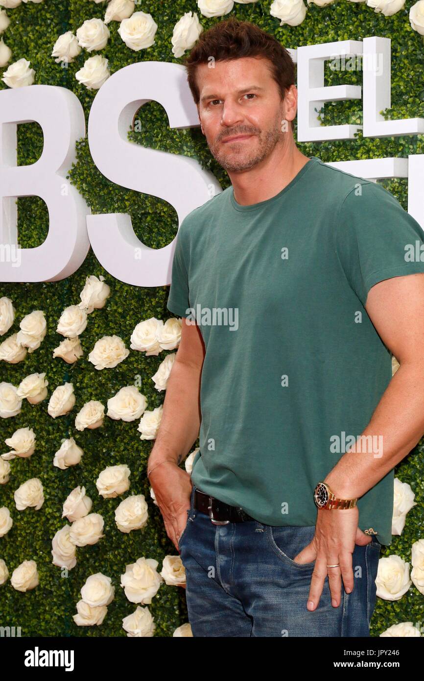 Los Angeles, CA, USA. 1st Aug, 2017. David Boreanaz at arrivals for TCA ...