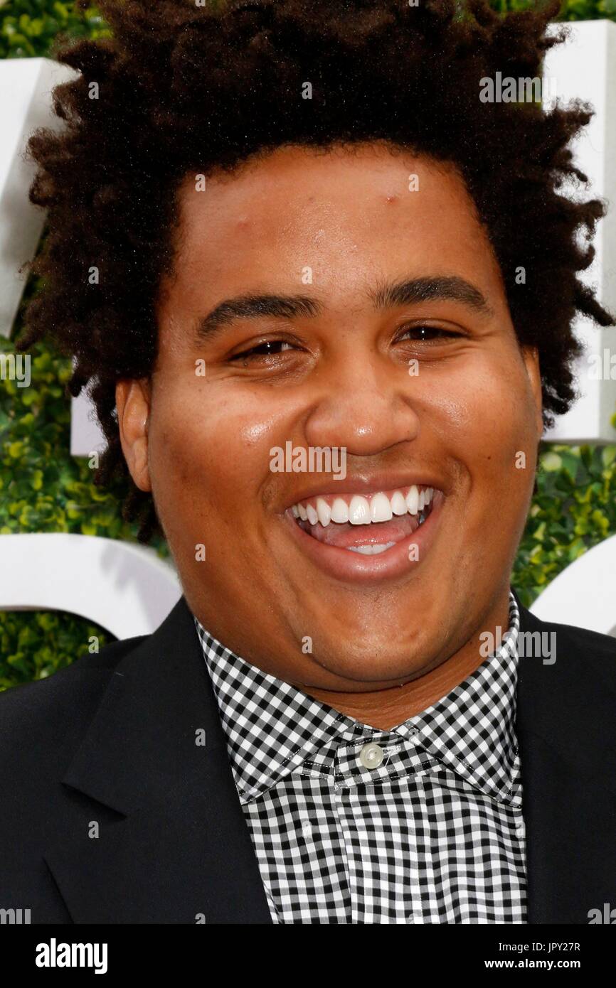 Los Angeles, CA, USA. 1st Aug, 2017. Lou Wilson at arrivals for TCA ...