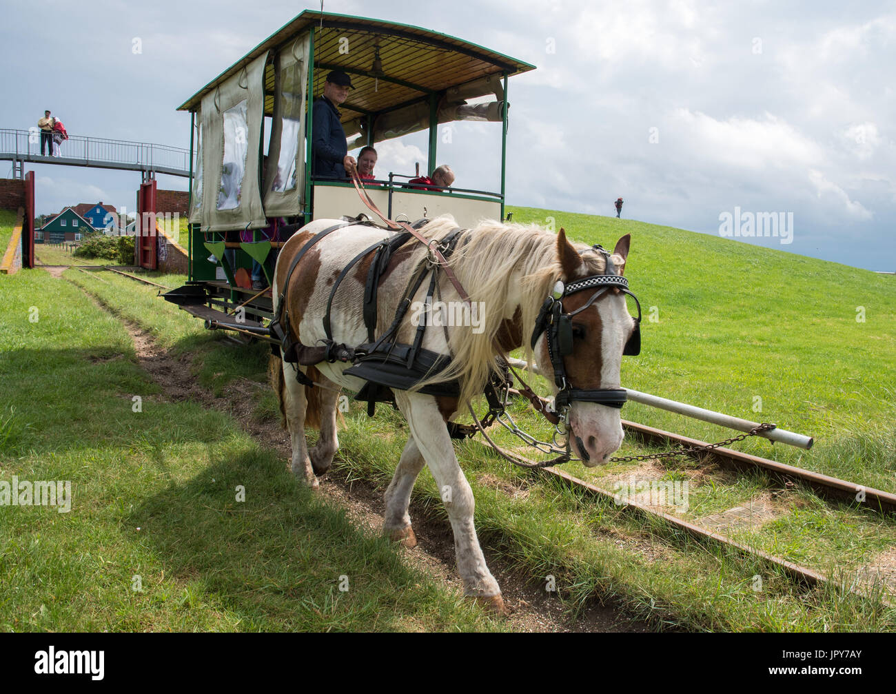 The horse train makes its way through the typical landscape on the ...