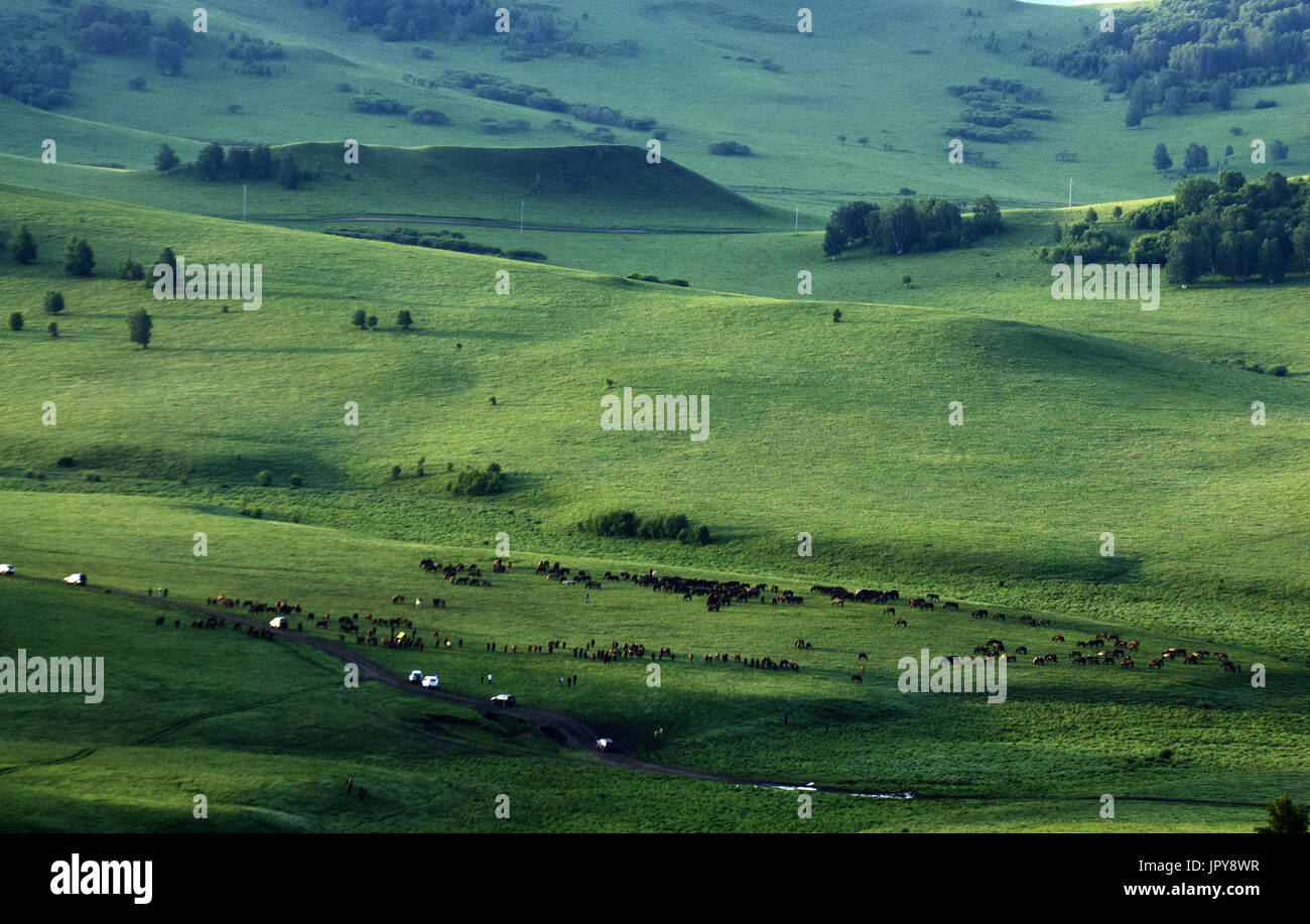 Monsoon climate hi-res stock photography and images - Alamy