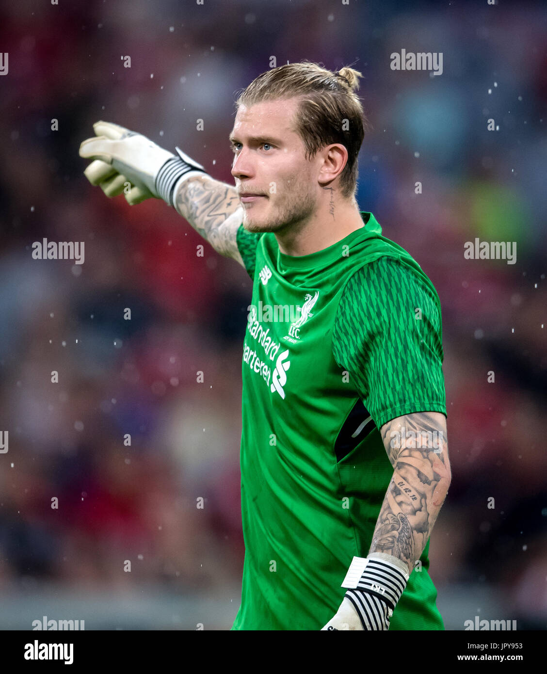 Loris karius hi-res stock photography and images - Alamy