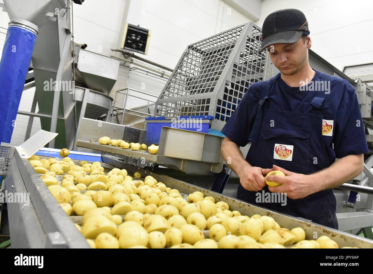 Straznice, Czech Republic. 02nd Aug, 2017. Potatoes for Straznice ...