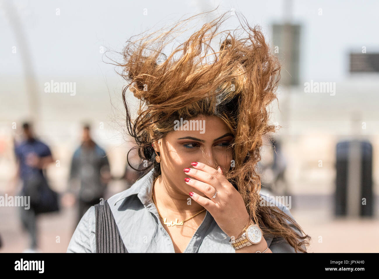 wind,hair,windswept,bad hair day,wind blown hair,long hair,female,face ...