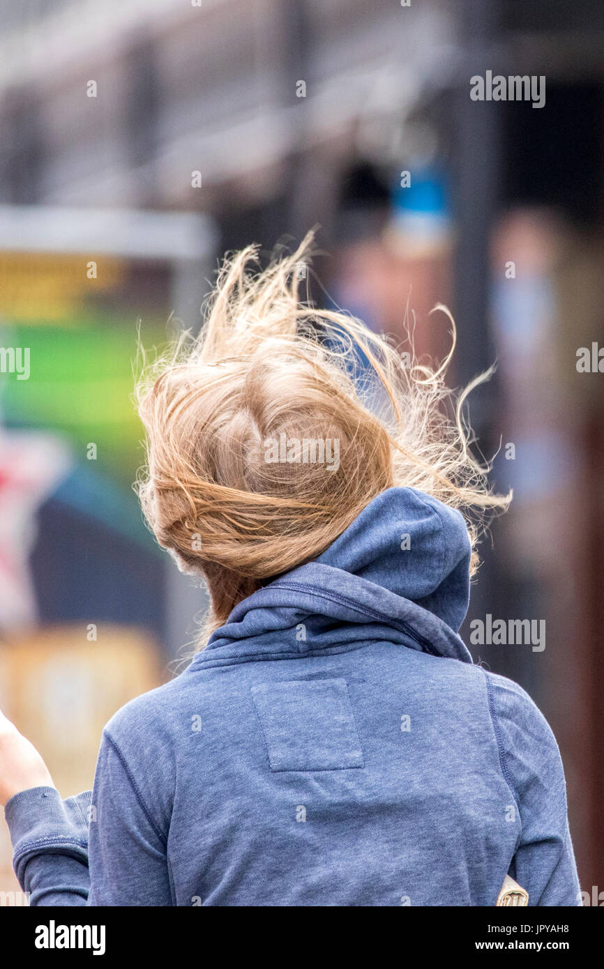 wind,hair,windswept,bad hair day,wind blown hair,long hair,female,face ...