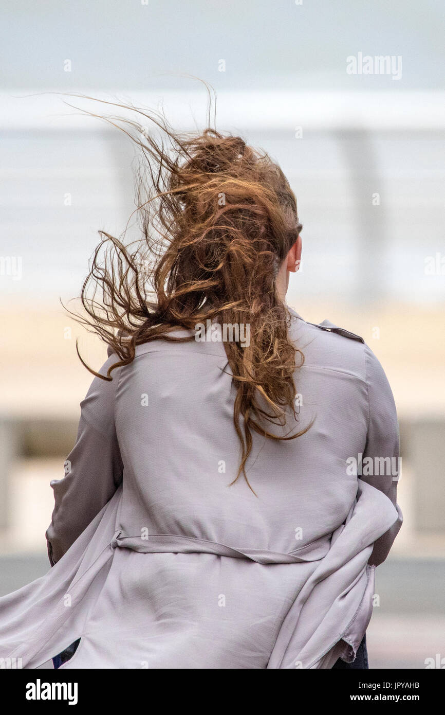 wind,hair,windswept,bad hair day,wind blown hair,long hair,female,face ...