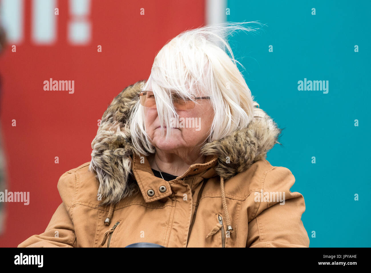 wind,hair,windswept,bad hair day,wind blown hair,long hair,female,face ...