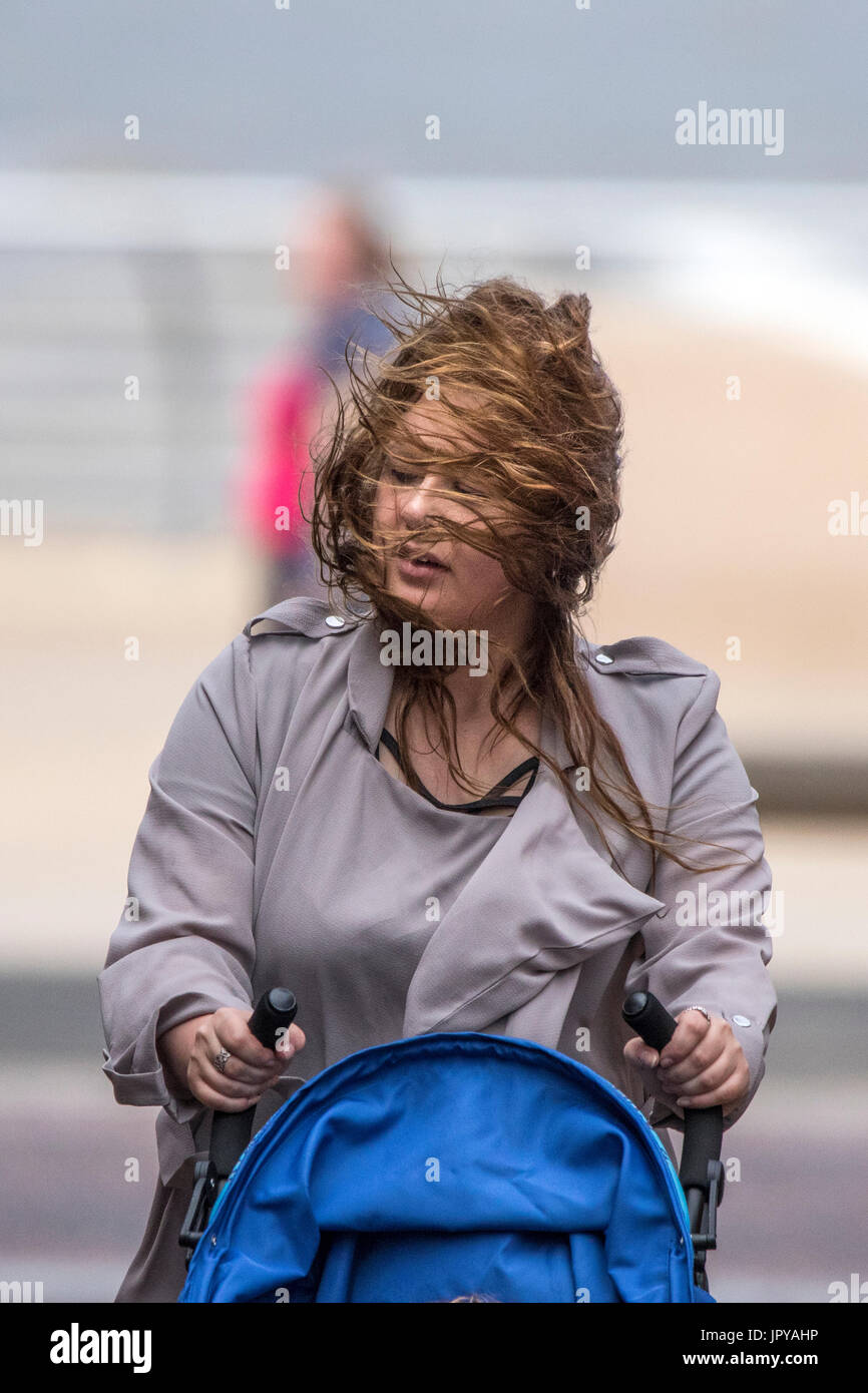 wind,hair,windswept,bad hair day,wind blown hair,long hair,female,face ...