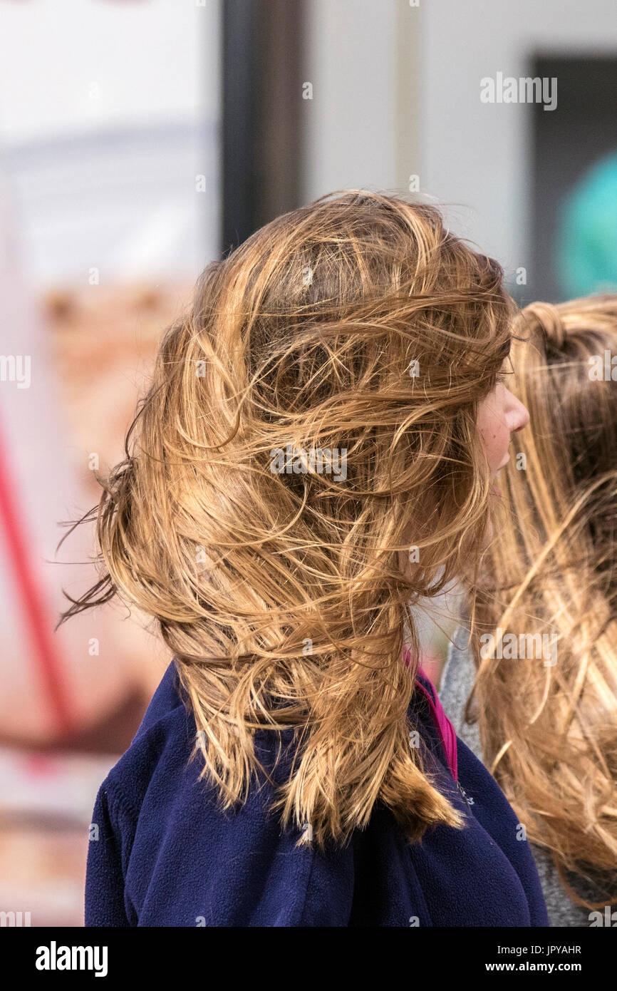 wind,hair,windswept,bad hair day,wind blown hair,long hair,female,face ...