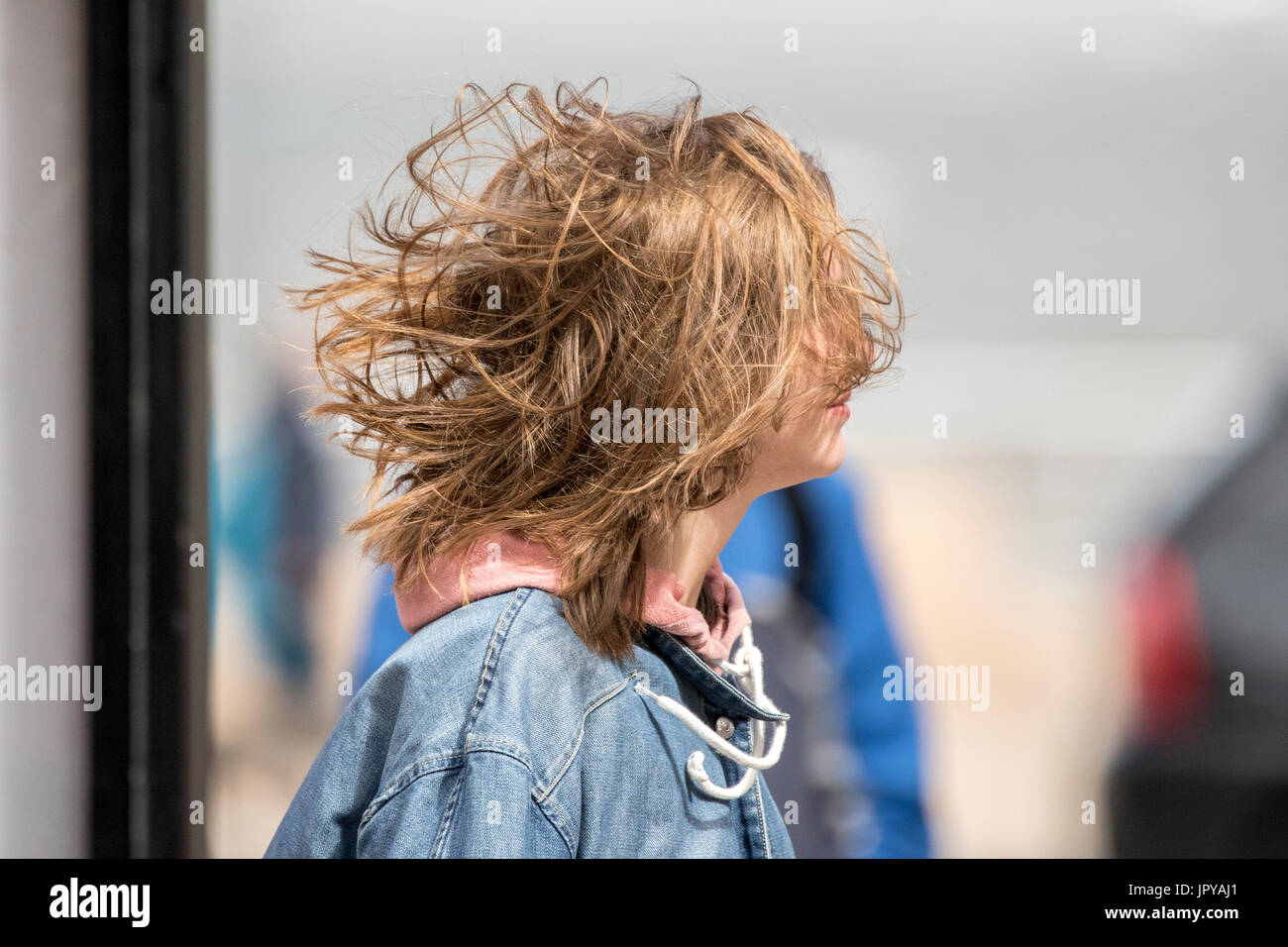 wind,hair,windswept,bad hair day,wind blown hair,long hair,female,face ...