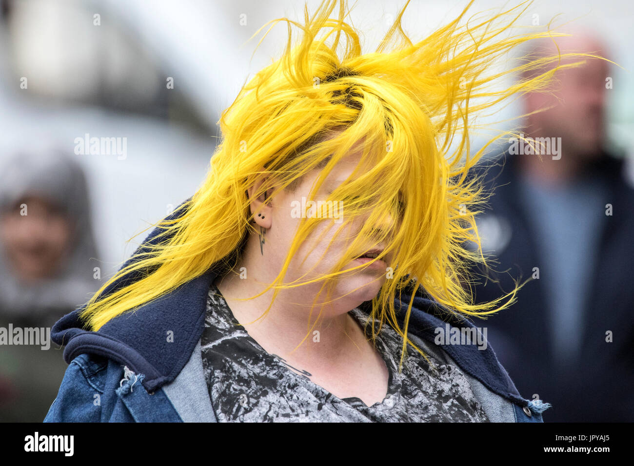 wind,hair,windswept,bad hair day,wind blown hair,long hair,female,face ...