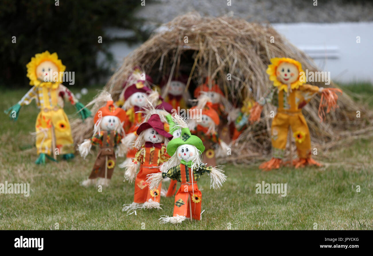 From Laois High Resolution Stock Photography and Images - Alamy