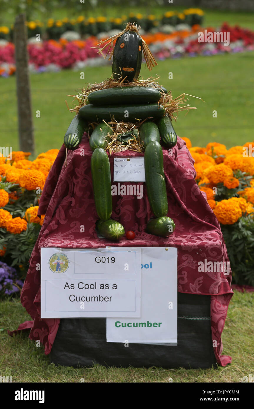 Durrow, Ireland. 3rd August 2017. A scarecrow made out of cucumbers ...