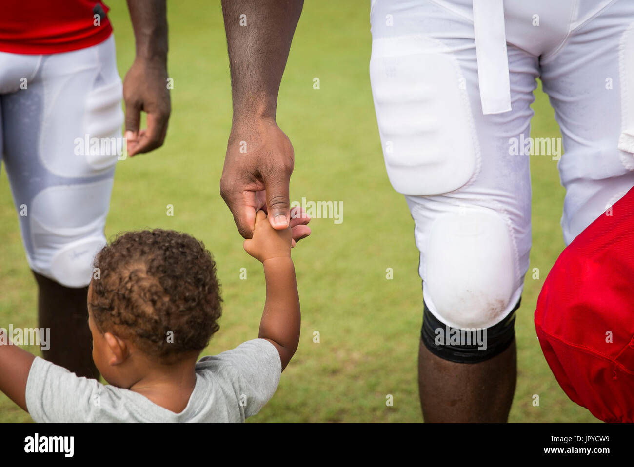 August 3, 2017 - Florida, U.S. - LOREN ELLIOTT | Times .Tampa Bay ...
