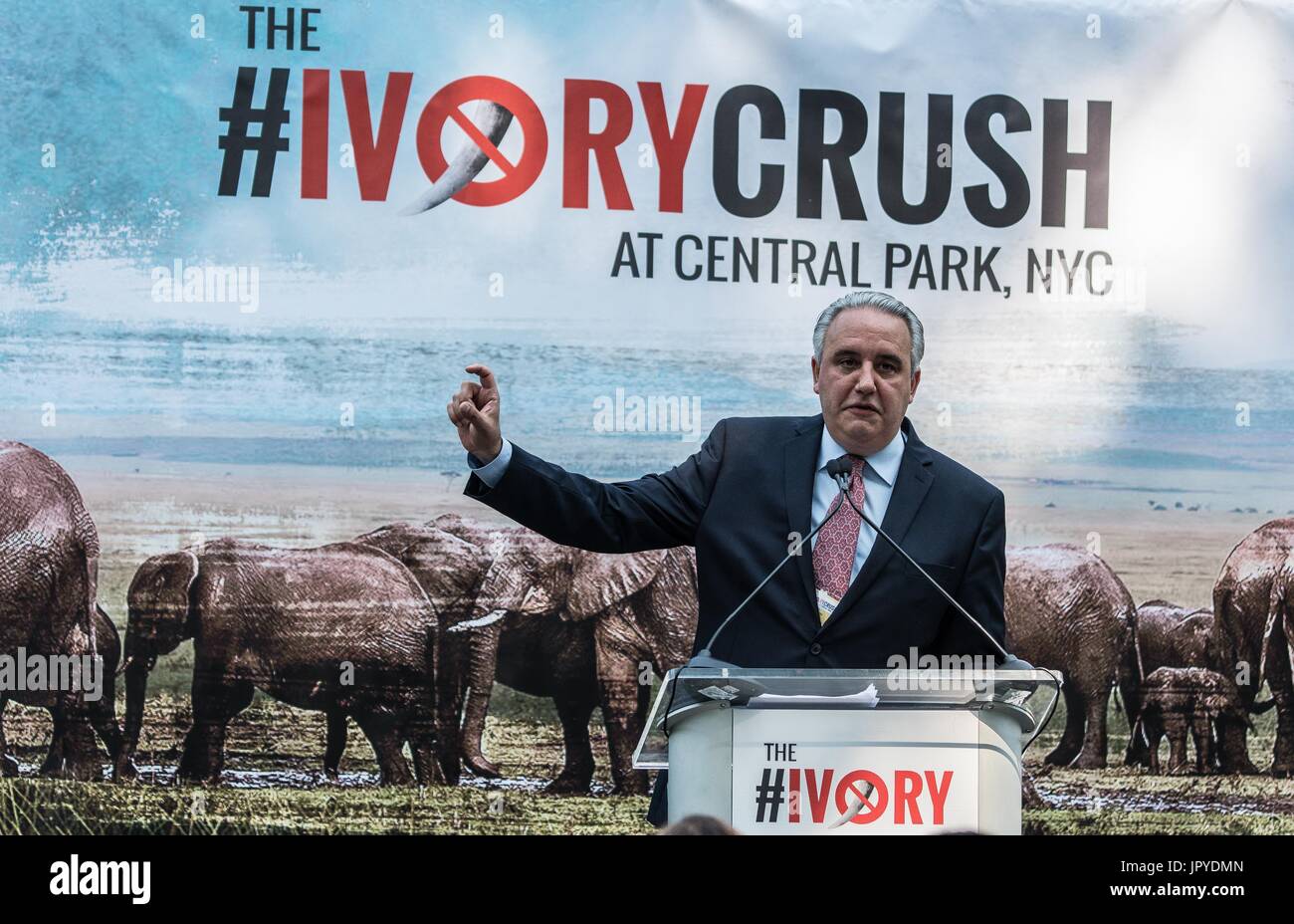 New York City, New York, USA. 3rd Aug, 2017. John Calvelli, director of ...