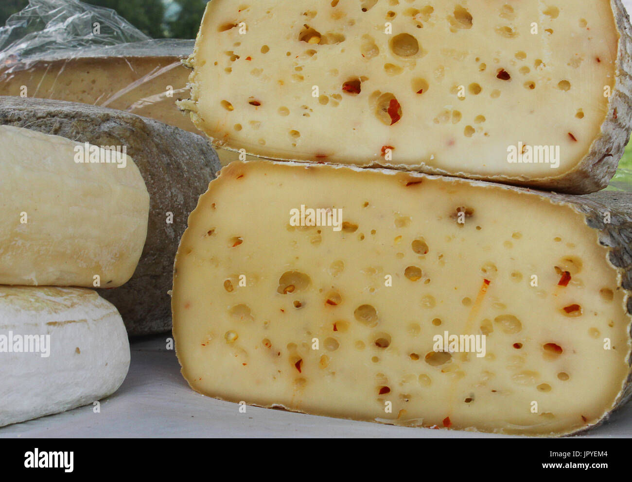 a cross section of cheese Stock Photo - Alamy