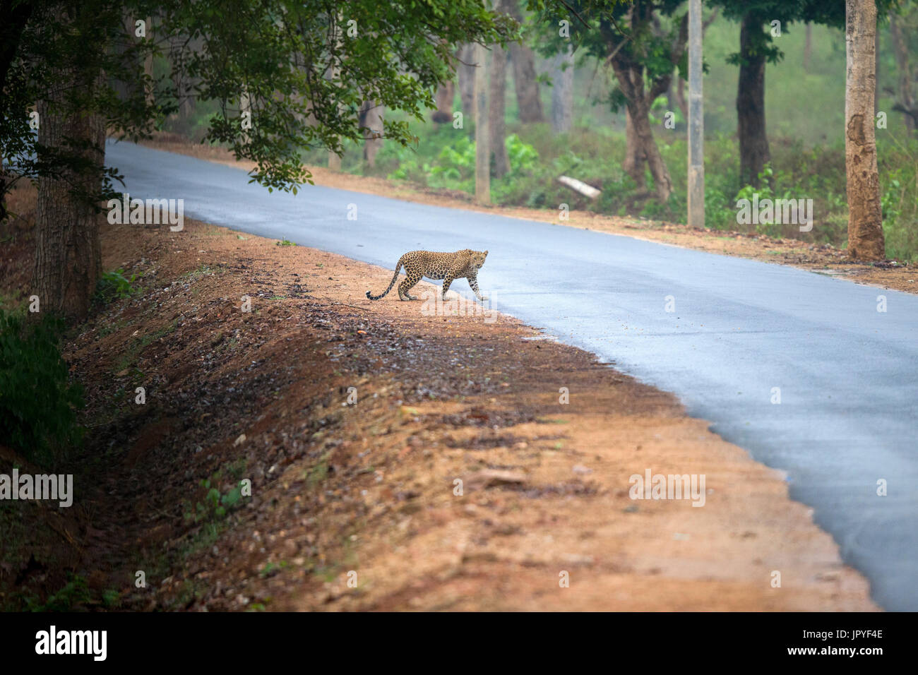 Red cross walk hi-res stock photography and images - Alamy