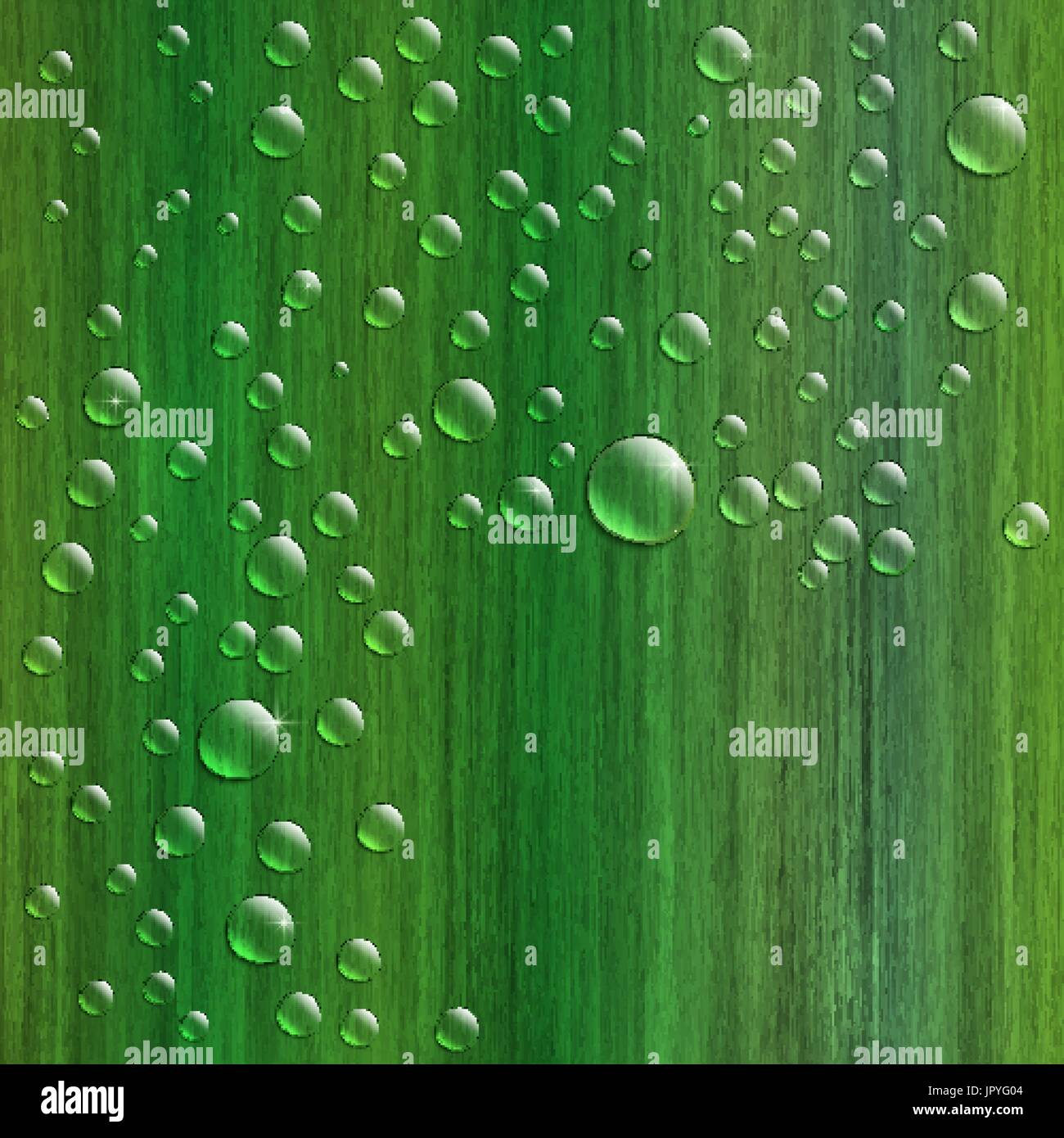 Wet green flora on Stock Vector Images - Alamy