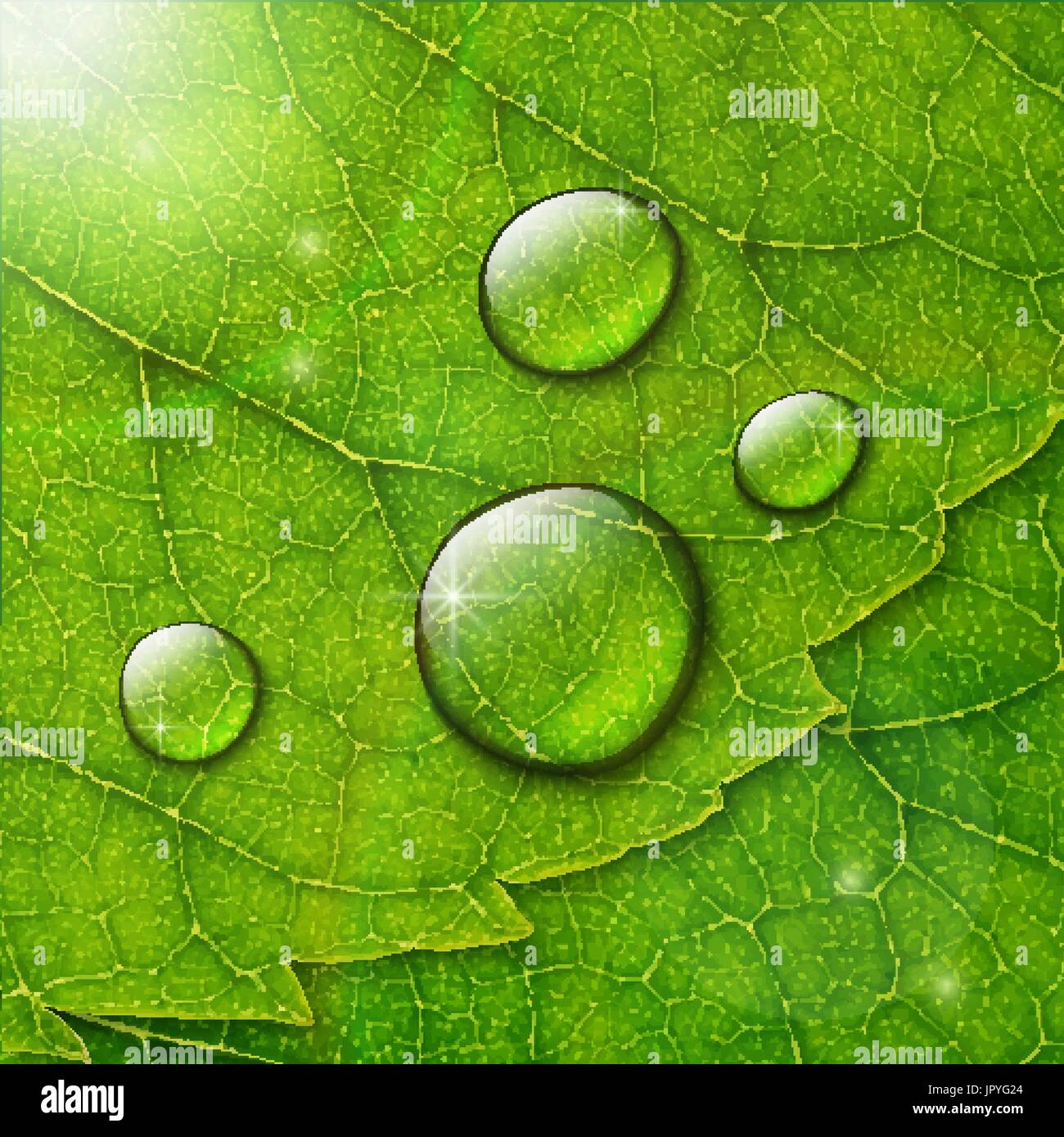 Water pattern detail Stock Vector Images - Alamy