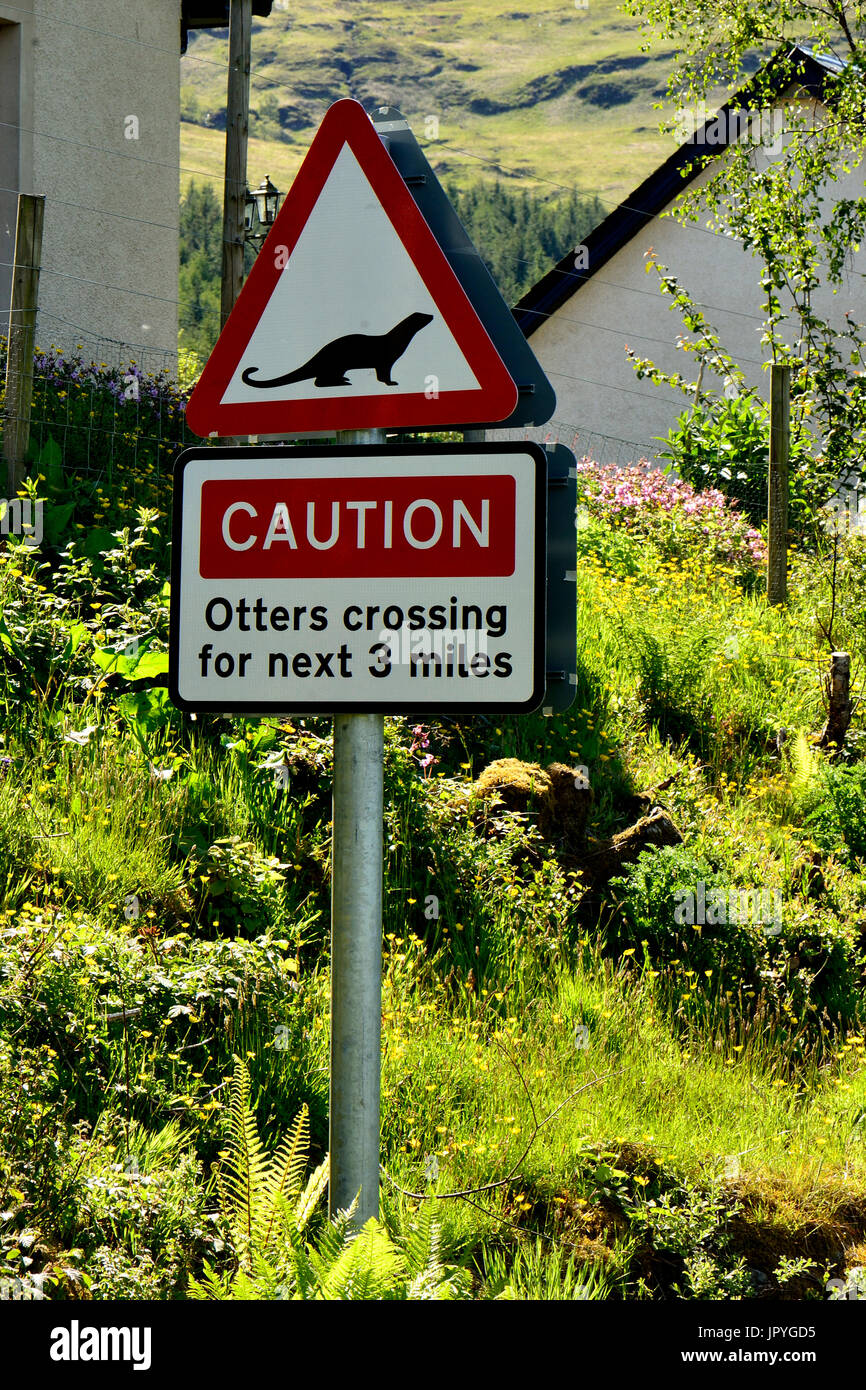 Sign passing Otters - Isle of Mull Scotland Stock Photo - Alamy