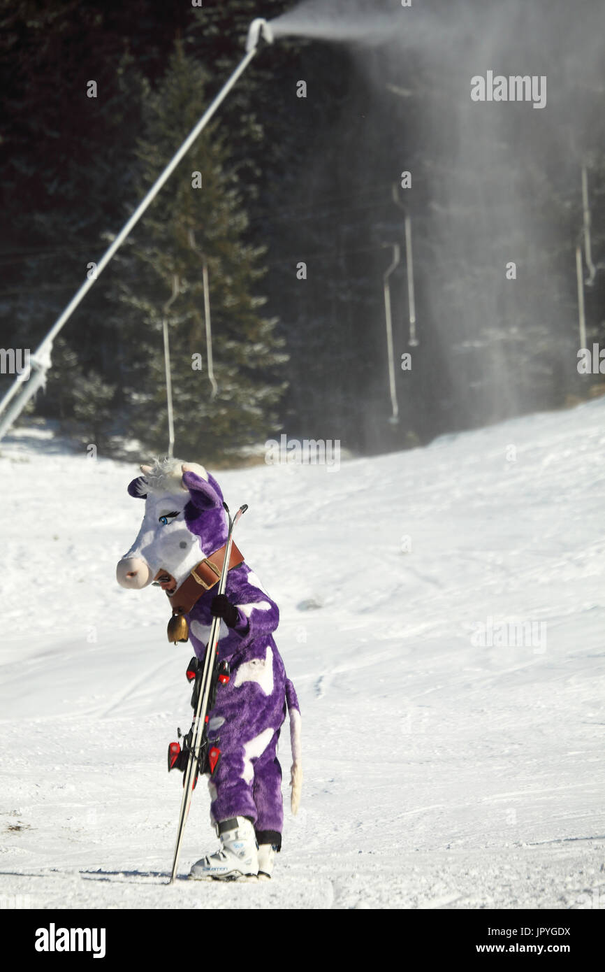 'Milka cow' in a winter sports resort - France Stock Photo - Alamy