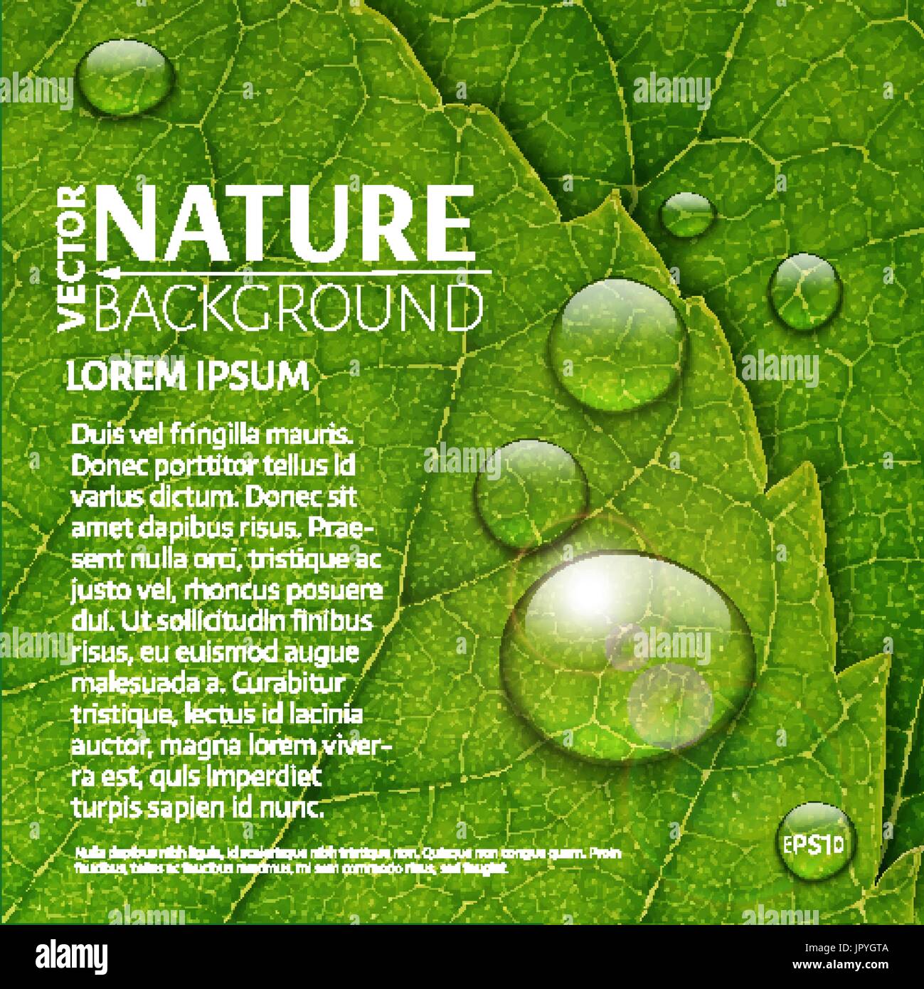 Narure vector vectors hi-res stock photography and images - Alamy