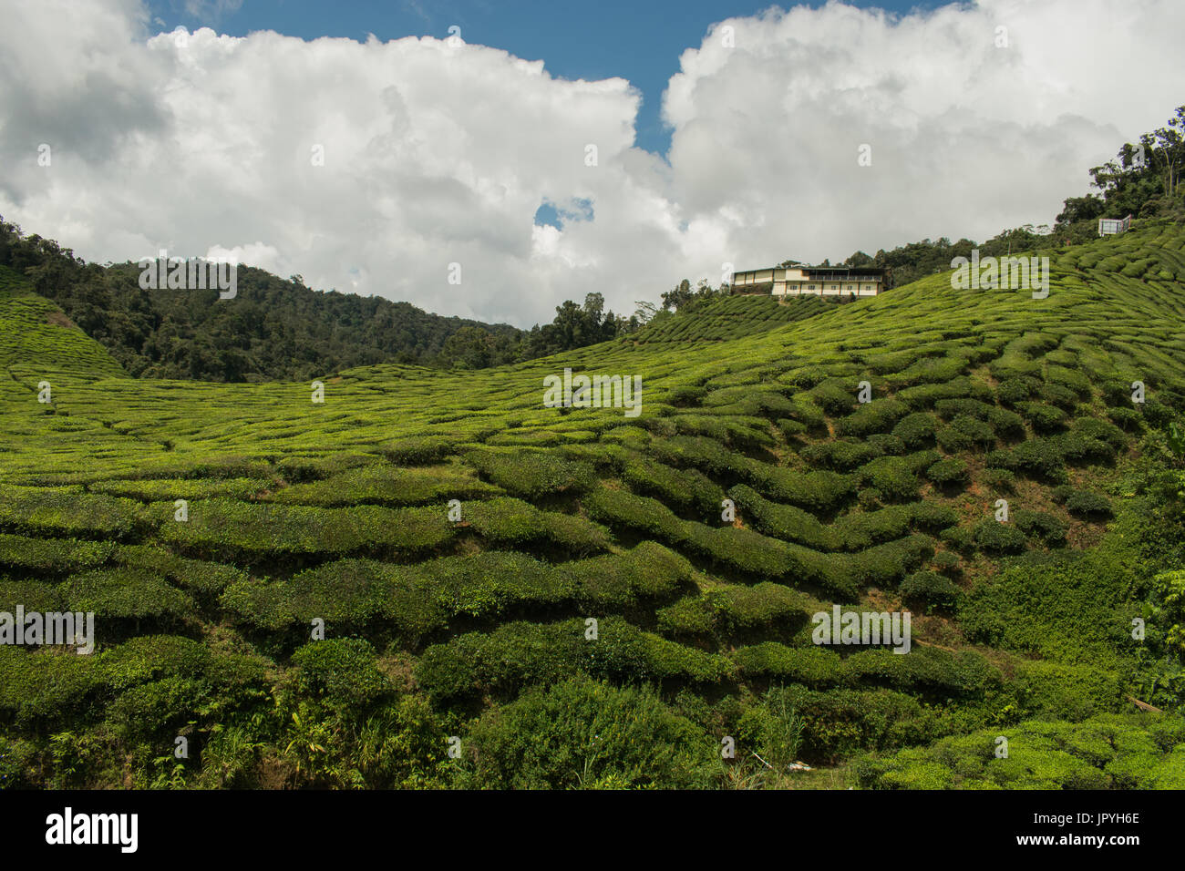 Cameron Valley Estate High Resolution Stock Photography and Images - Alamy
