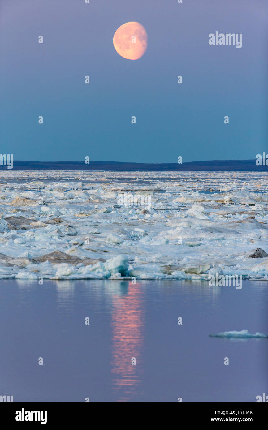 Full Moon and Melting Sea Ice - Hudson Bay Canada Stock Photo - Alamy
