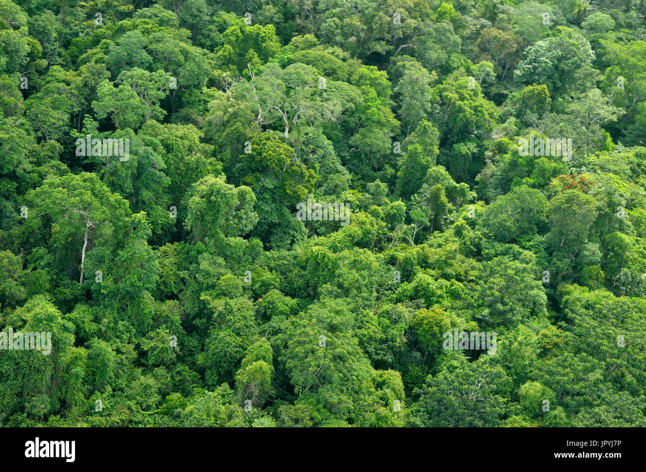 Mountain landscape with farm - Amdo Tibet China Stock Photo - Alamy