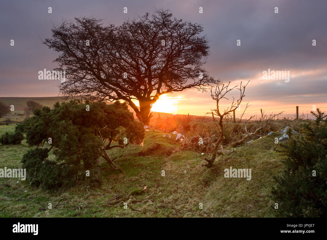 Sunset from Prewley Moor Sourton Dartmoor National Park Devon Uk Stock ...