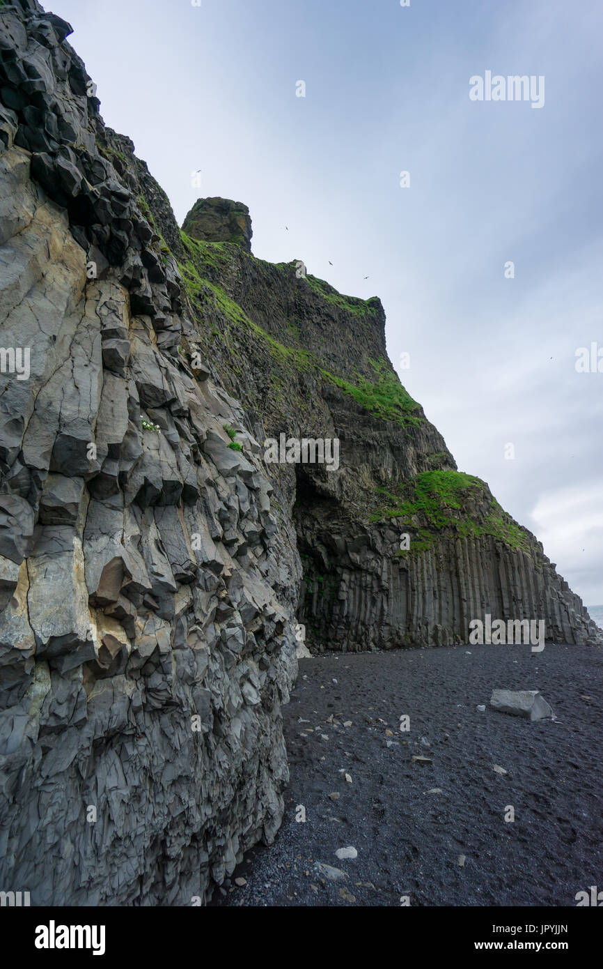 Iceland - Famous beach of Vik with basalt columns and many birds Stock ...