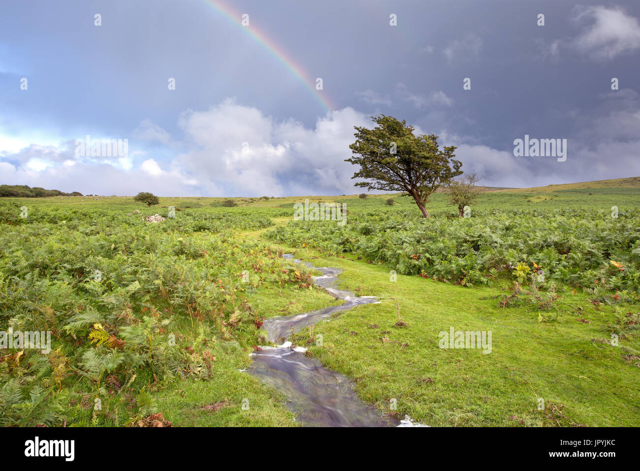 Devon rainbow hi-res stock photography and images - Alamy