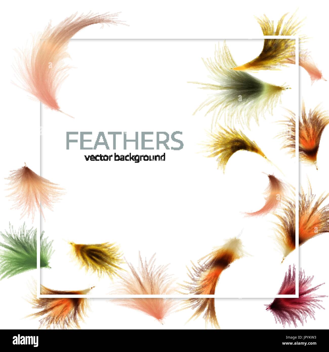 Colorful feather background with white frame. Colorful exotic feathers ...