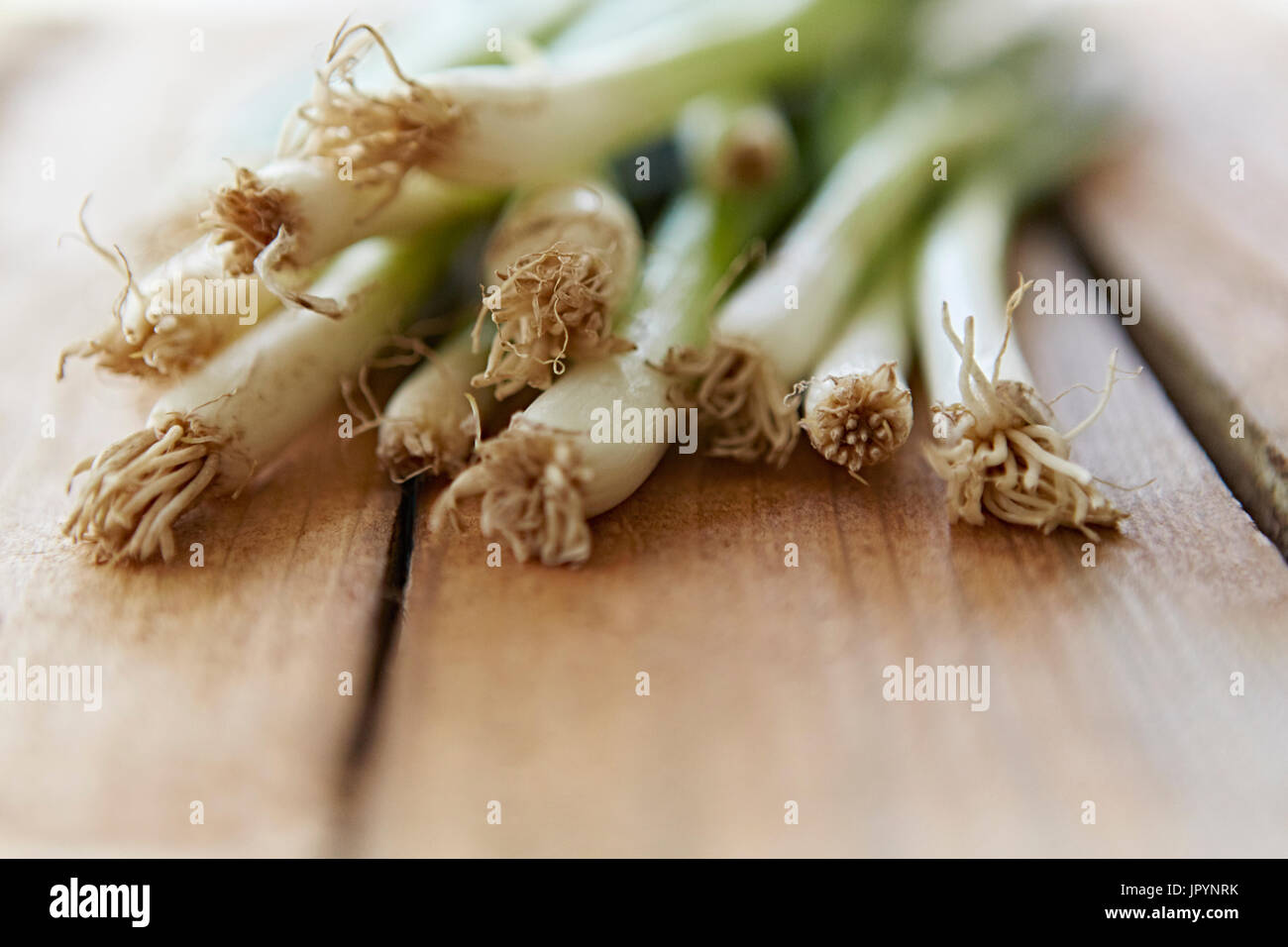 Onion root tip hi-res stock photography and images - Alamy