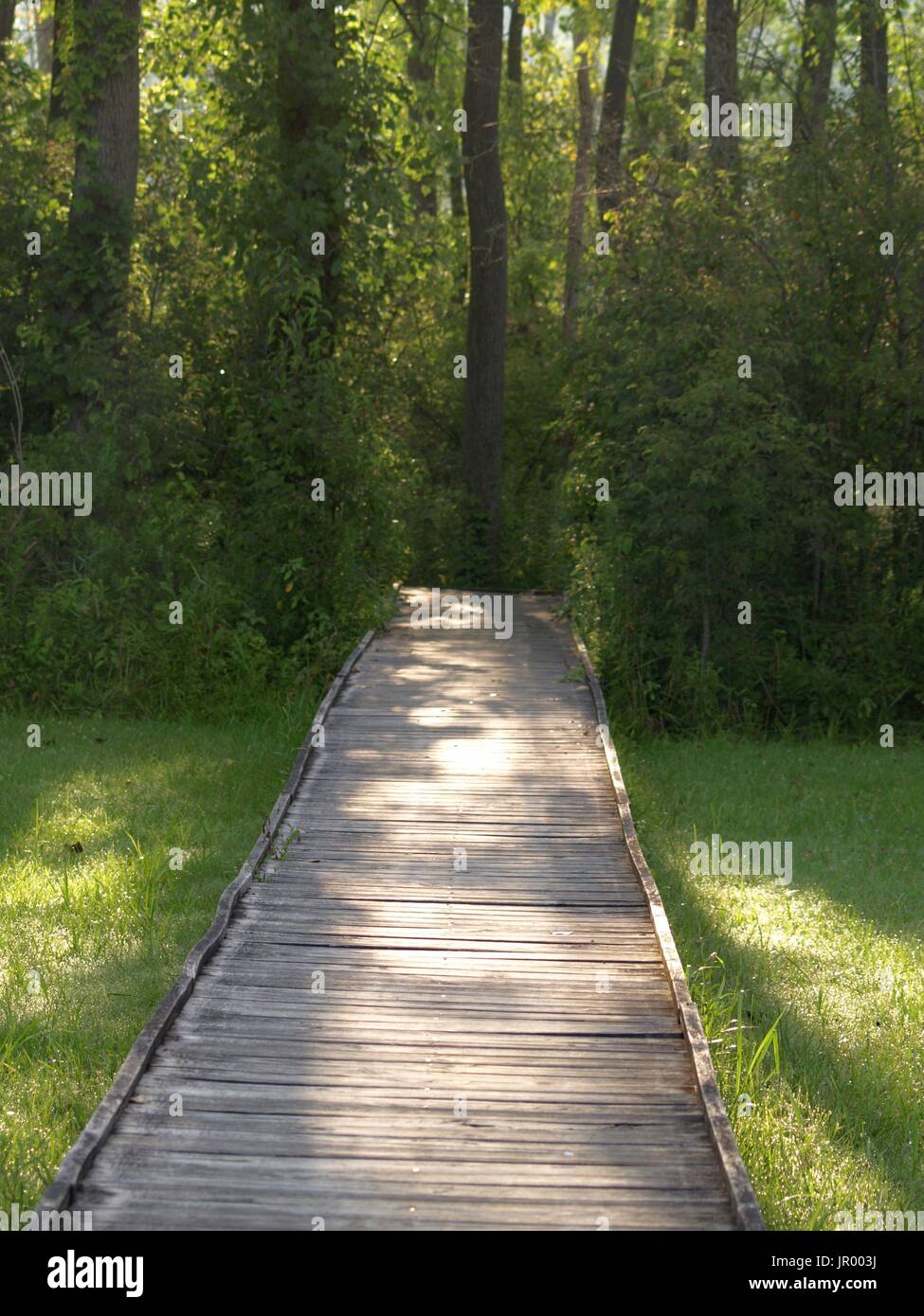 Sunlit Path High Resolution Stock Photography and Images - Alamy