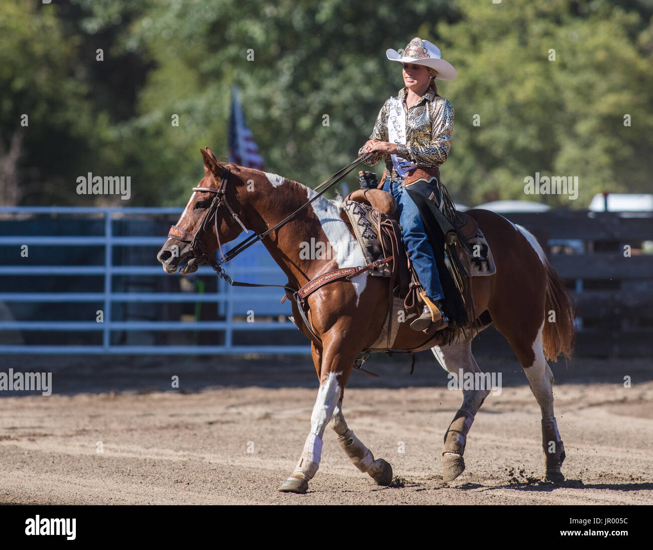 Rodeo action at the Scott Valley Pleasure Park Rodeo in Etna ...