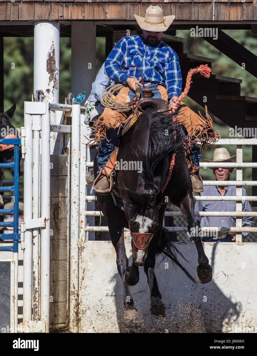 Scott valley pleasure park rodeo hi-res stock photography and images ...