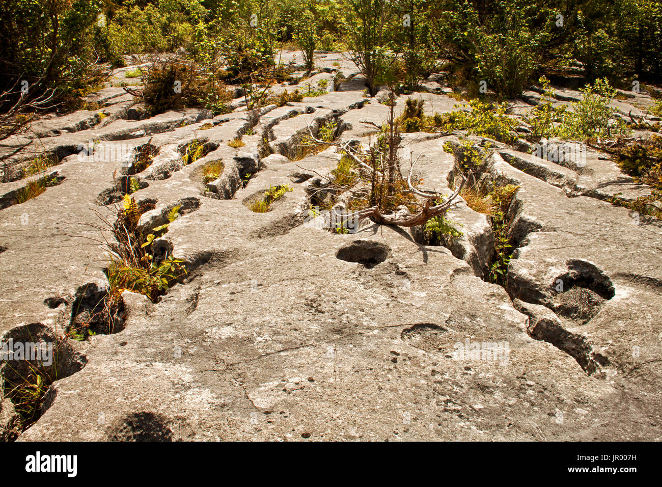 Limestone fissures hi-res stock photography and images - Alamy