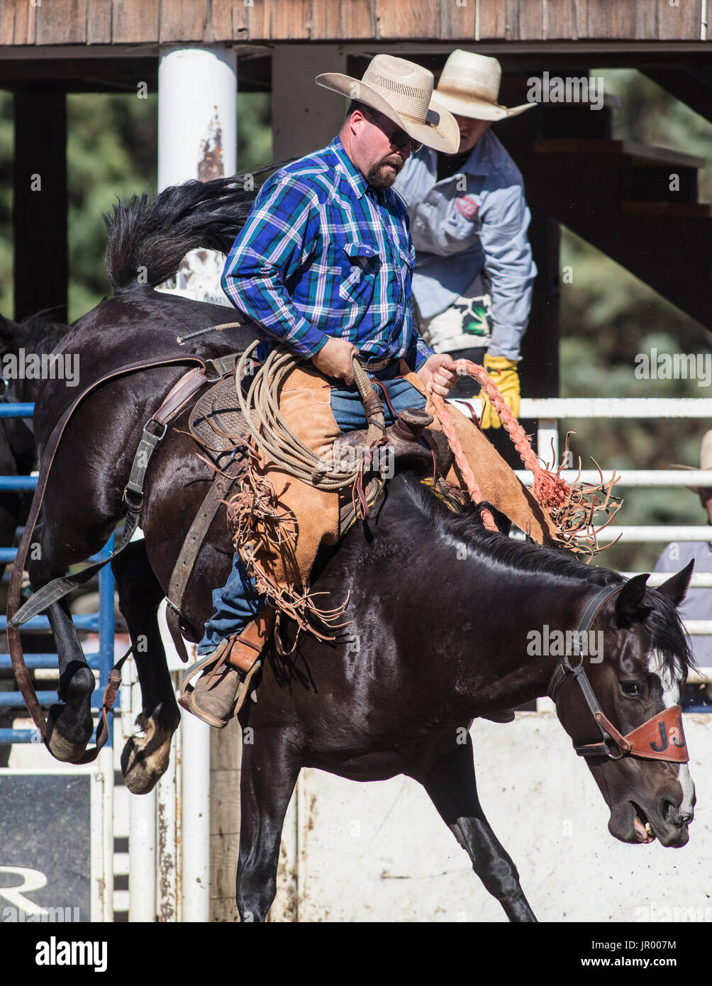 Rodeo action at the Scott Valley Pleasure Park Rodeo in Etna ...