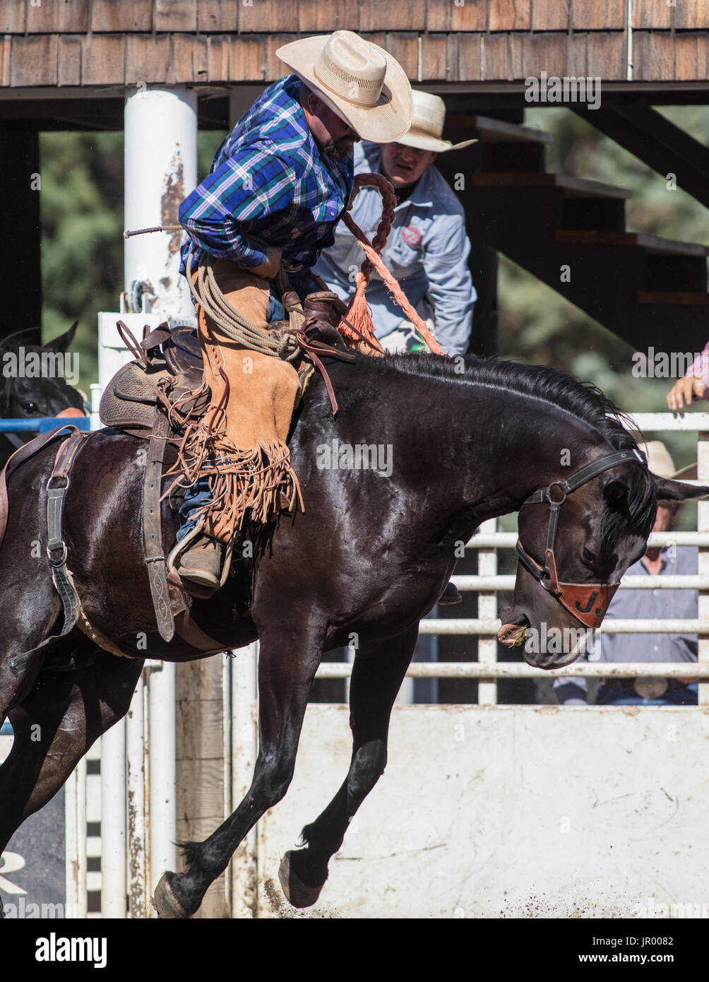 Rodeo action at the Scott Valley Pleasure Park Rodeo in Etna ...
