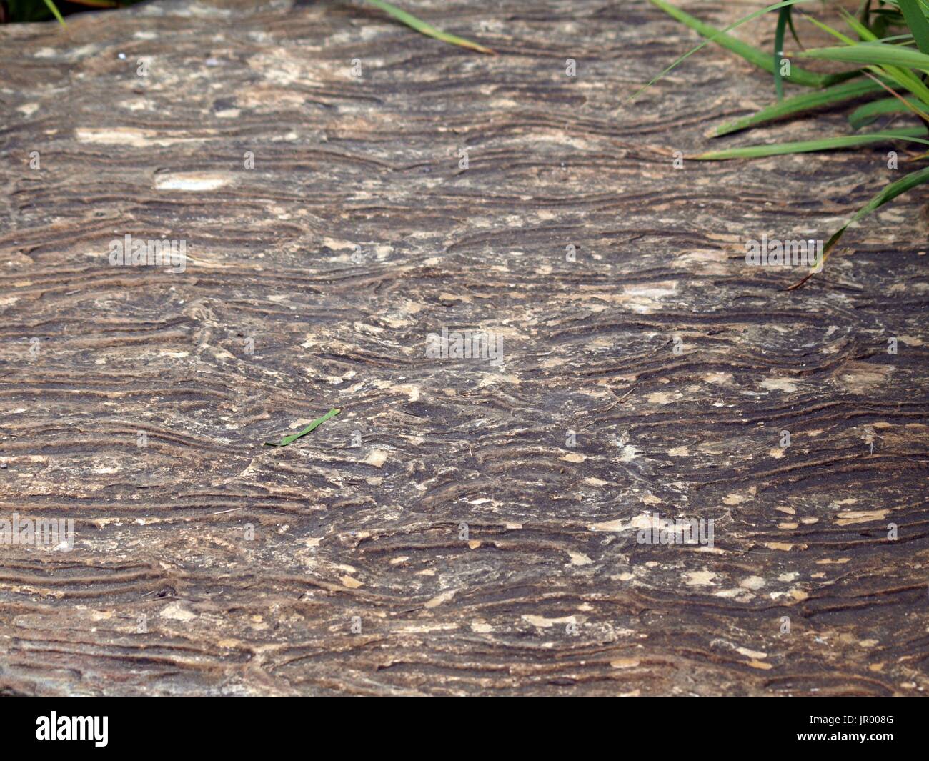 Wavy rock hi-res stock photography and images - Alamy