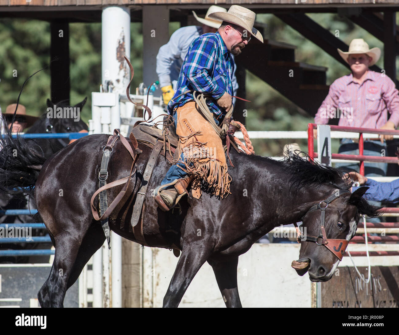 Rodeo action at the Scott Valley Pleasure Park Rodeo in Etna ...