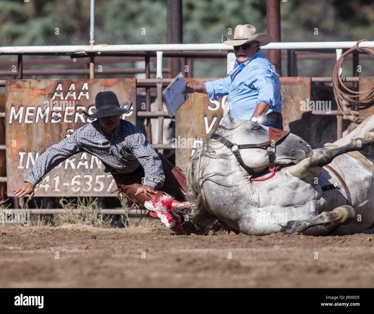 Rodeo action at the Scott Valley Pleasure Park Rodeo in Etna ...