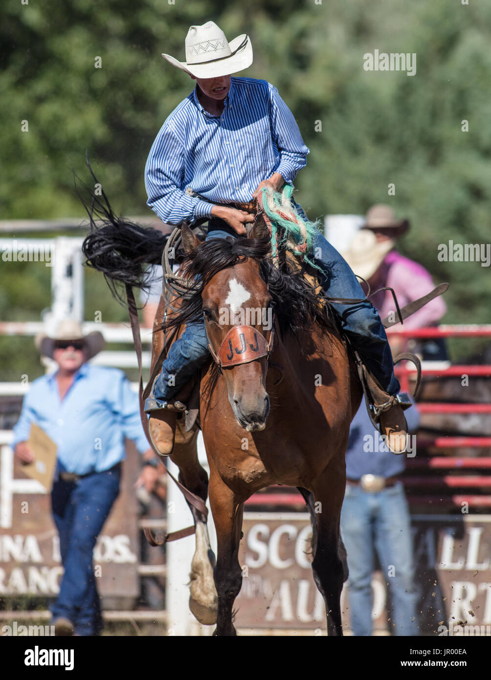 Rodeo action at the Scott Valley Pleasure Park Rodeo in Etna ...