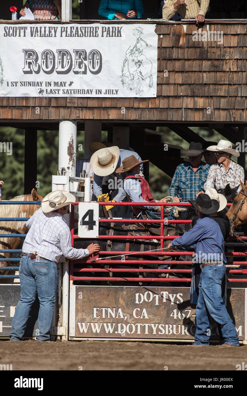 Rodeo action at the Scott Valley Pleasure Park Rodeo in Etna ...