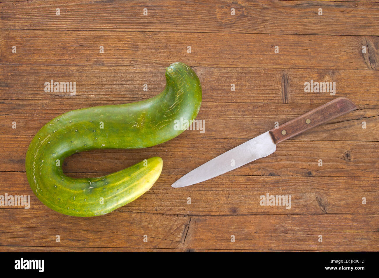 Curly home grown cucumber. Deformed but edible vegetable Stock Photo ...