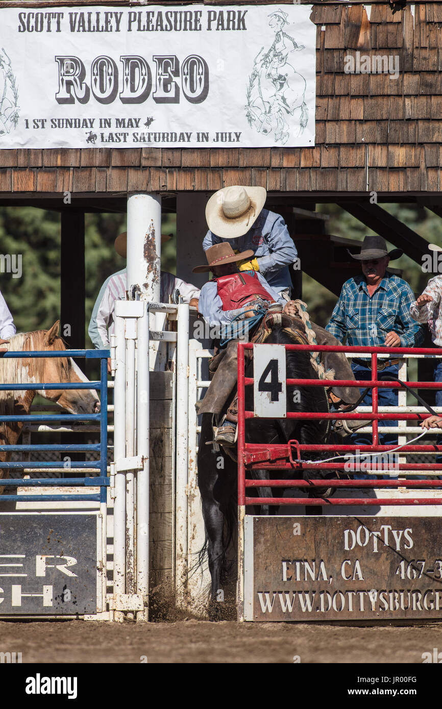 Rodeo action at the Scott Valley Pleasure Park Rodeo in Etna ...