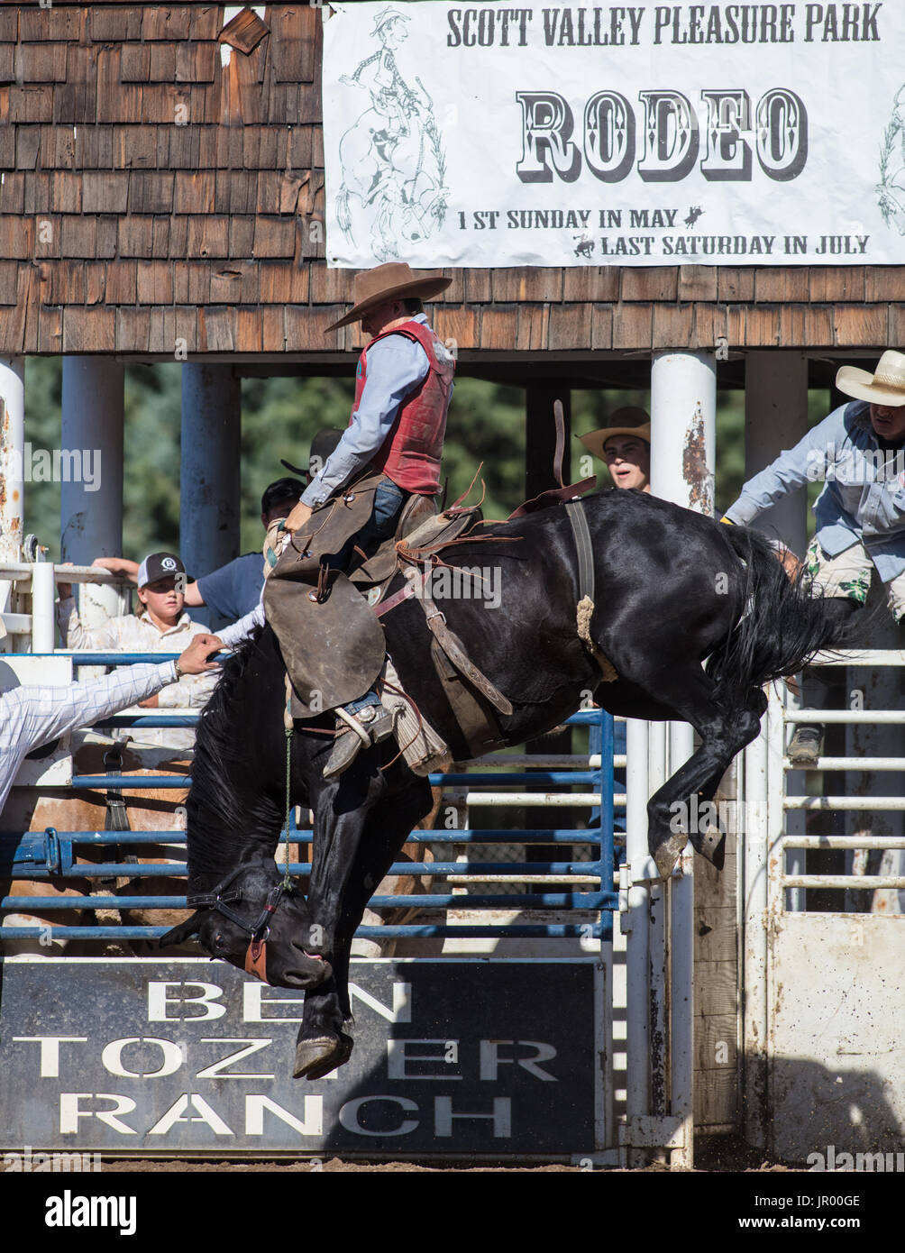 Rodeo action at the Scott Valley Pleasure Park Rodeo in Etna ...